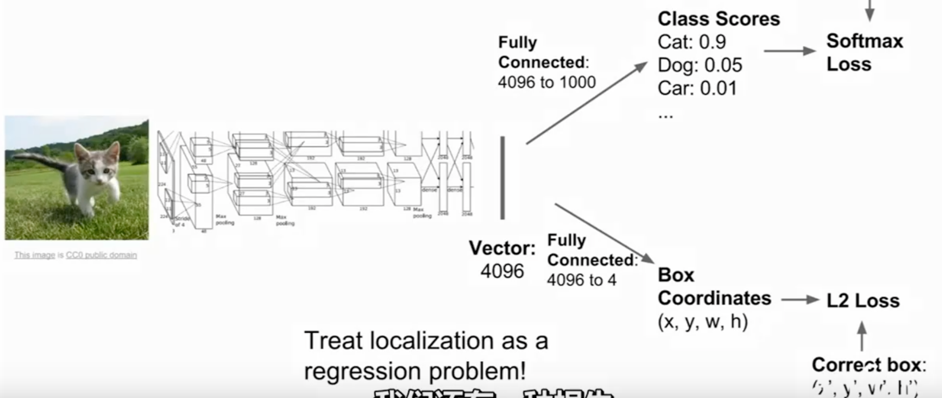 Detection & Segmentation - Colin's Notebook